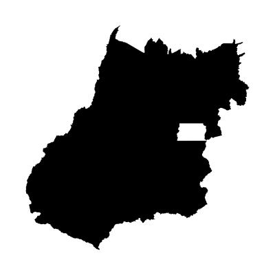 Goias Vector Outline Map, Brazil
