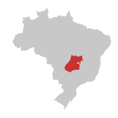 Goias Vector Outline Map, Brazil