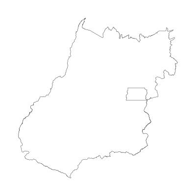 Goias Vector Outline Map, Brazil
