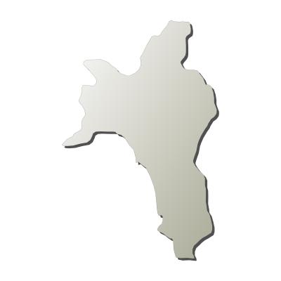 Roscommon Vector Outline Map, Ireland
