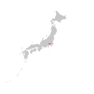 Tokyo Vector Outline Map, Japan