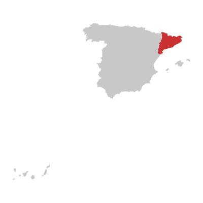 Catalonia Vector Outline Map, Spain