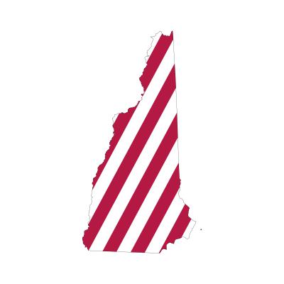 New Hampshire Vector Outline Map, United States